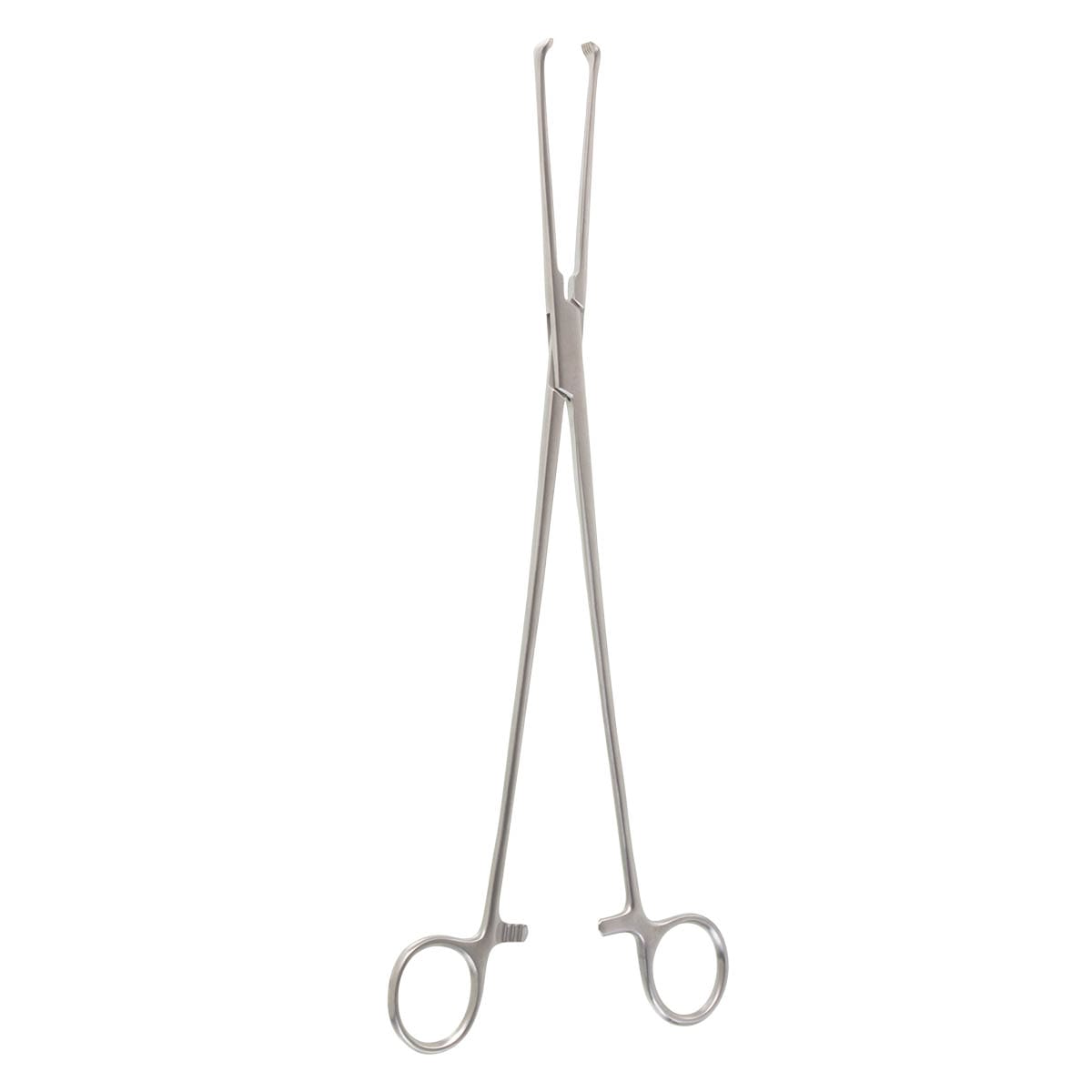 12" Allis Tissue Forceps - 5x6 | Surgical Instrument | BOSS Surgical ...