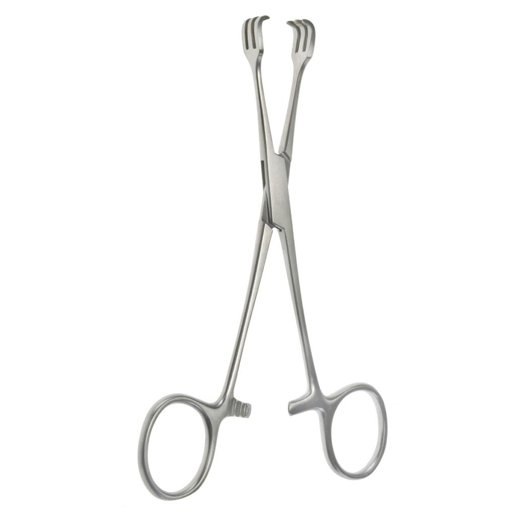 6" ( Triple Hook ) Lahey Traction Forceps 3x3 prong - BOSS Surgical ...