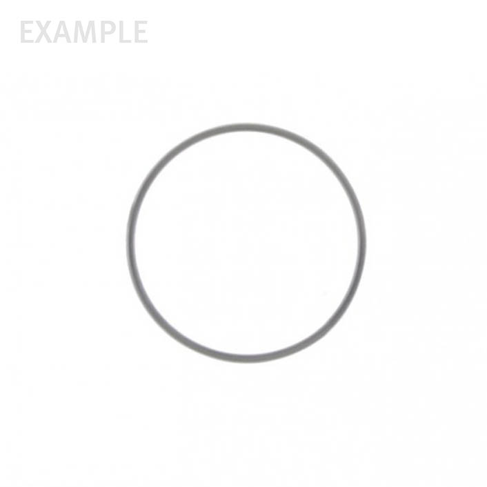 Flieringa Scleral Fixation Rings - 13mm - BOSS Surgical Instruments