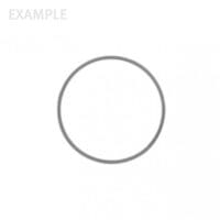 Flieringa Scleral Fixation Rings - 24mm - BOSS Surgical Instruments